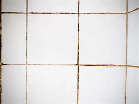 How To Clean Tile Grout Steam Clean Team