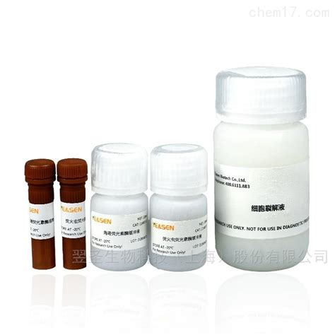 11402es60 双荧光素酶报告基因检测试剂盒分子生物学 翌圣生物科技（上海）股份有限公司