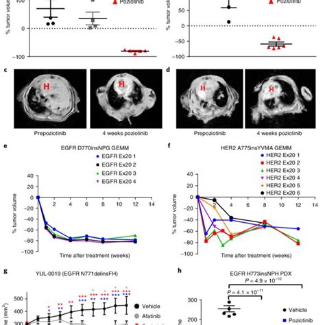 Poziotinib Potently Inhibits Egfr And Her2 Exon 20 Insertion Mutants Download Scientific