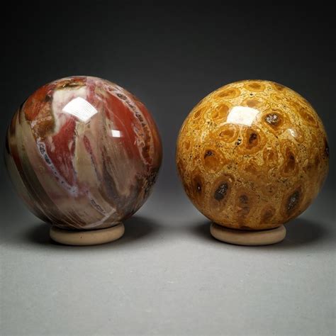 Beautiful Pair Of Fossil Spheres Mounted On Personal Catawiki