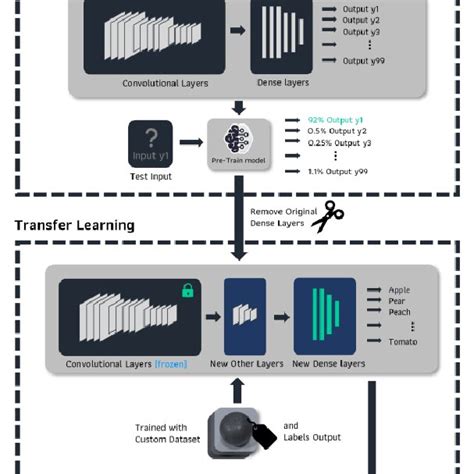 An Overview Process Of Applying The Pre Training Model To Transfers Download Scientific Diagram
