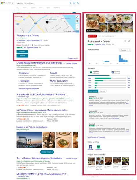 bing web search api doesn t return places results microsoft qanda