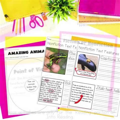 Into Reading Supplement 1st Grade Reading Module 3 Tpt