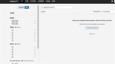 sonarqube8 8汉化教程 Harry 666 博客园
