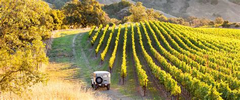 Gun Bun Plus One Crown Liquors