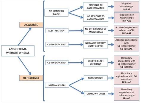 Classification Of Angioedema Download Scientific Diagram