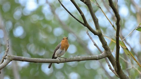 Filedot To Ss Leyla Videos Download The Best Free 4k Stock Video Footage And Filedot To Ss Leyla