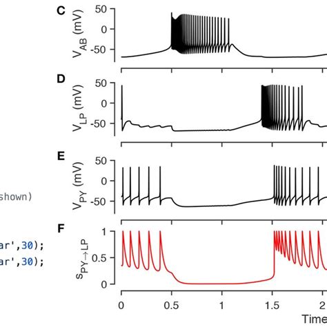 Simulating A Network Of Conductance Based Model Neurons Coupled By