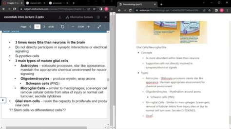 Exam 1 Lecture 1 Flashcards Quizlet