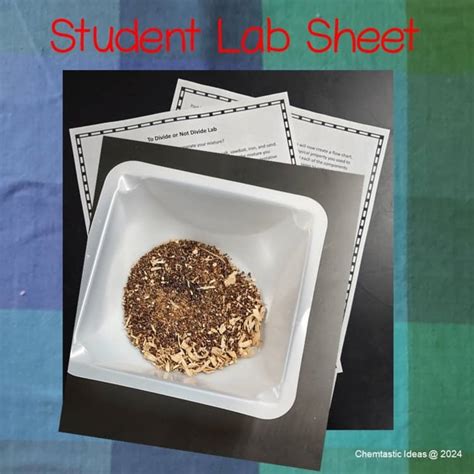 To Divide Or Not Lab By Chemtastic Ideas Tpt