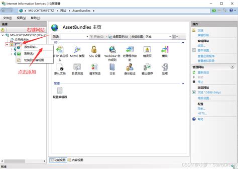 Unity使用远程iis服务器进行addressables资源更新 Csdn博客