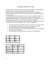 Lab Mouse Genetics One Trait Pdf Lab Mouse Genetics One Trait Purpose Explore The