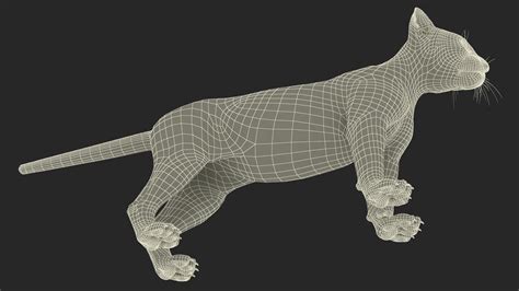 Leopard Cub Playing Fur Animated Rigged Model Turbosquid 2407392