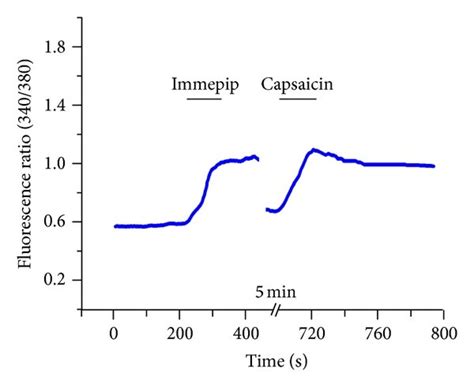 Immepip Sensitive Drg Neuron Responds To Capsaicin A Control B