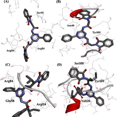 The Binding Mode Of Compounds 6a In The Active Site Of As Aureus Dna Download Scientific