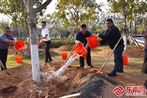 两岸妈祖缘 台湾妈祖联谊会来莆田湄洲岛交流访问 东南网 福建官方新闻门户