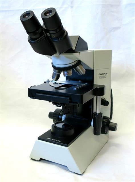 Binocular Microscope Labeling Diagram Quizlet