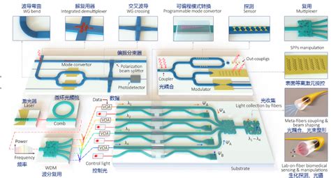从芯片到光网络：平面光波导技术（plc）的核心优势与应用前景 知乎