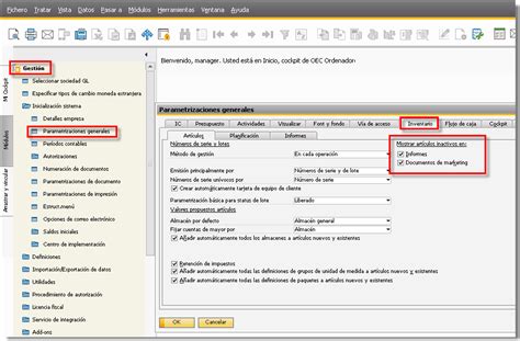 ¿cómo Es La Gestión De Artículos En Sap Business One
