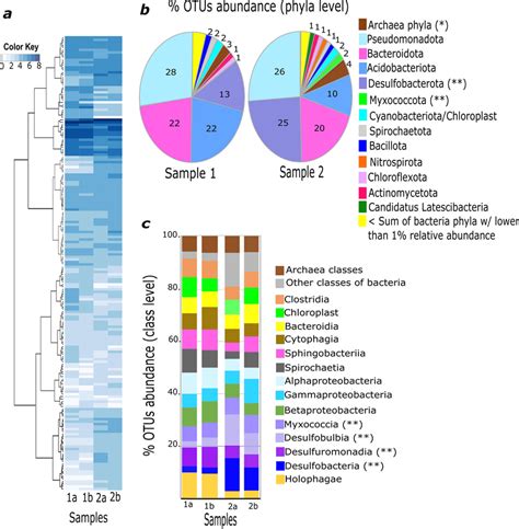 Bacterial Diversity Based On V3v4 Region Of 16s Rrna A Sample Download Scientific Diagram