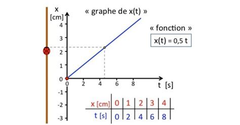 Le Mouvement Fonction Et Graphe Clipedia La Science Et Moi Le Mouvement Fonction Et Graphe Clipedia La Science Et Moi