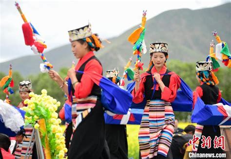 西藏油菜花海以花为媒 领略高原之美 高原 油菜花 西藏 新浪科技 新浪网