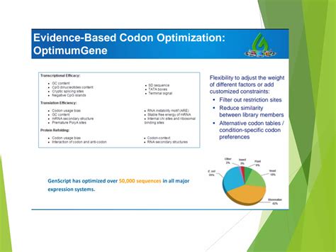 Vector Engineering And Codon Optimization Pdf Programming Languages Computing
