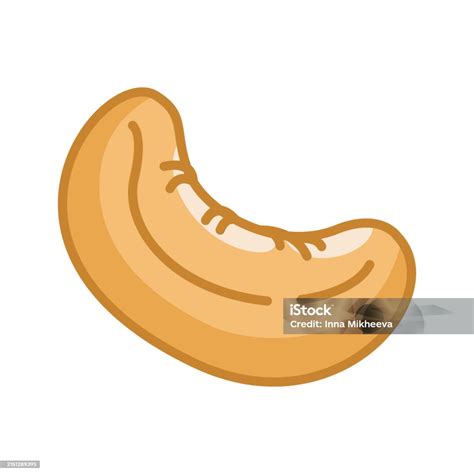 캐슈 너트는 흰색 배경에 고립되어 있습니다 만화 스타일의 벡터 일러스트 레이 션 0명에 대한 스톡 벡터 아트 및 기타 이미지