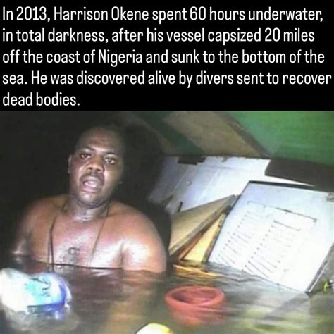 Ancient Okenes Survival Remains One Of The Most Extraordinary