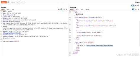 Ctfbugku 本地管理员ctf本地管理员 Csdn博客