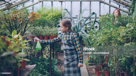 앞치마에 심각한 아이 그녀의 젊은 어머니는 온실에서 일하고 있는 동안 스프레이 용기를 사용 하 여 꽃 급수입니다 가족 사업 취미와 사람들 개념을 재미 있는입니다 물 주기에