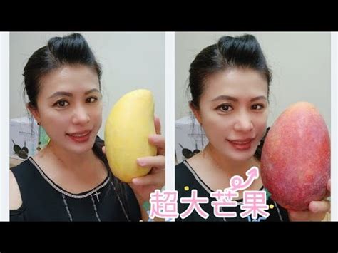 比臉大芒果在哪裡續集玉井芒果節開跑囉 YouTube
