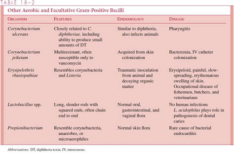 Corynebacterium Diphtheria Bacteriology