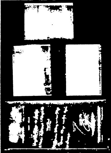 Image Processing Oriented Dilation Opencv Stack Overflow