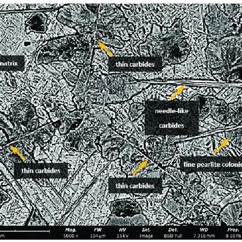 Microstructure Of The X120mn12 Steel After Isothermal Annealing At 510 Download Scientific