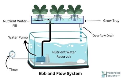 ebb and flow hydroponics diy simple steps to get started