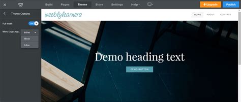 How To Add Custom Theme Option In Weebly Theme Codoplex