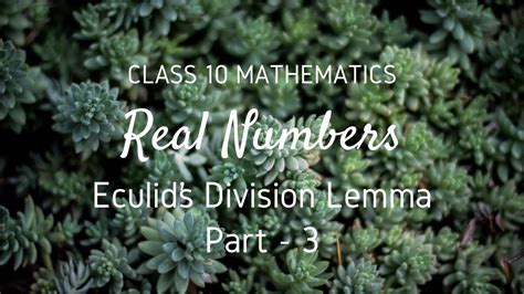 Class 10 Maths Real Numbers Part 3 Euclids Division Lemma Youtube