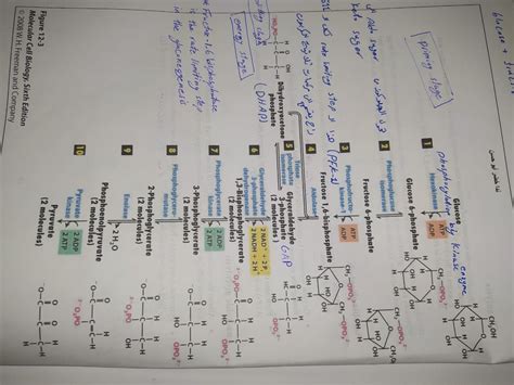 Music Theory Cheat Sheet