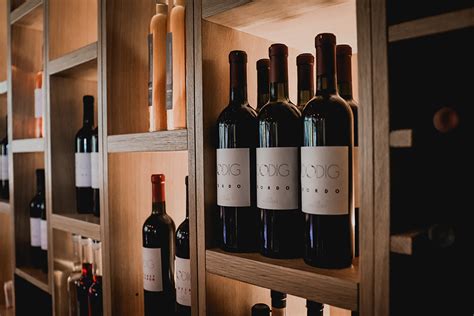 Vinarija Dodig Kušali Smo Vina Ove Mlade Ali Perspektivne Vinarije