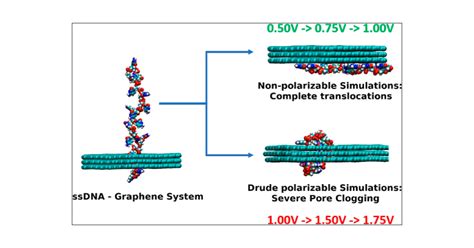 Unveiling Dna Translocation In Pristine Graphene Nanopores Understanding Pore Clogging Via