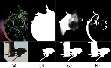 Examples Of Predicted Saliency Maps With Poor Performance In Complex