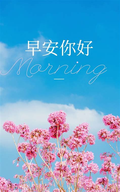 早上好图片正能量语录激励自己的句子阳光向上 小舟 一点一滴 浮士德 新浪新闻