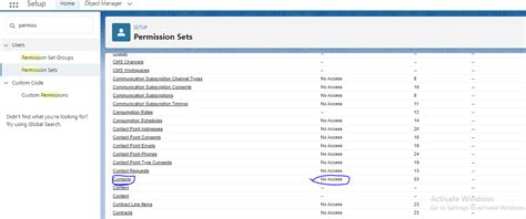 Permission Set In Salesforce Pashtek