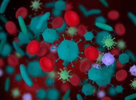 Bacteria Object Detection Dataset By Pathakjii2407