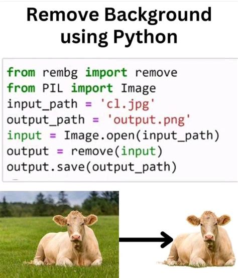 Ravi Singh On Linkedin Python Imageediting Backgroundremoval Techtips