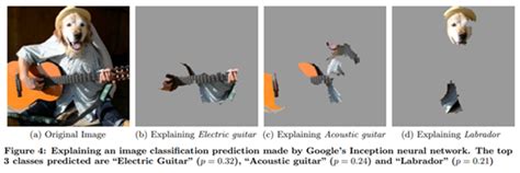 Limelocal Interpretable Model Agnostic Explanations Background