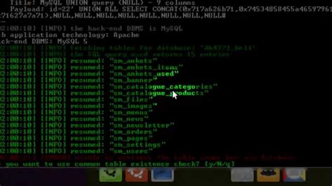 Hack Web Site With Sqlmap On Windows 7 Youtube