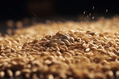 小麦粮食高清图片下载 正版图片600166803 摄图网 小麦粮食高清图片下载 正版图片600166803 摄图网