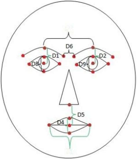 The Face Model Containing The Facial Feature Elements D Facial Download Scientific Diagram